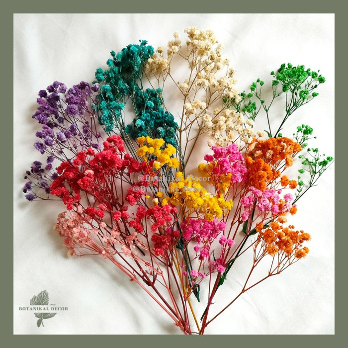 Jual Preserved Real Touch Premium Baby's Breath Gypsophila Bunga Kering ...