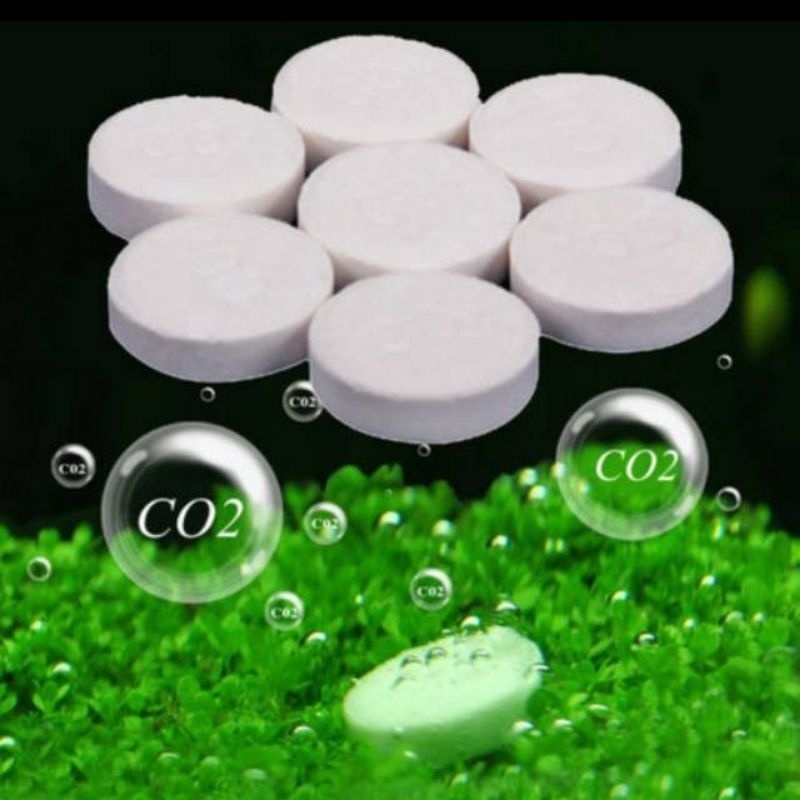 Jual co2 tablet aquascape Effervescent 1 tablet | Shopee Indonesia
