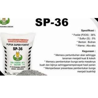 Jual PUPUK SP 36/PUPUK TSP/PUPUK NPK/ISI 500gr - 1KG | Shopee Indonesia
