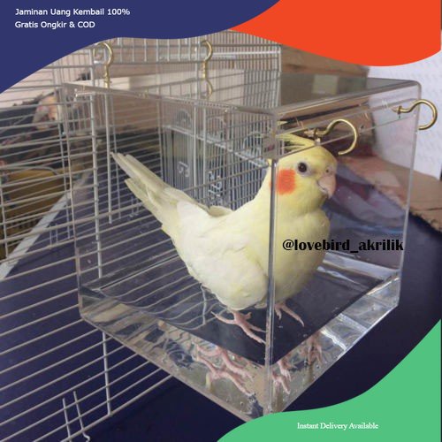 Jual Tempat mandi burung, tempat mandi burung lovebird, tempat mandi ...