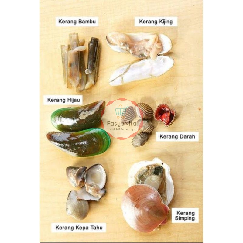 Jual Kerang Segar Fresh - Hijau Ijo Dara Remis Batik Macan Bambu ...