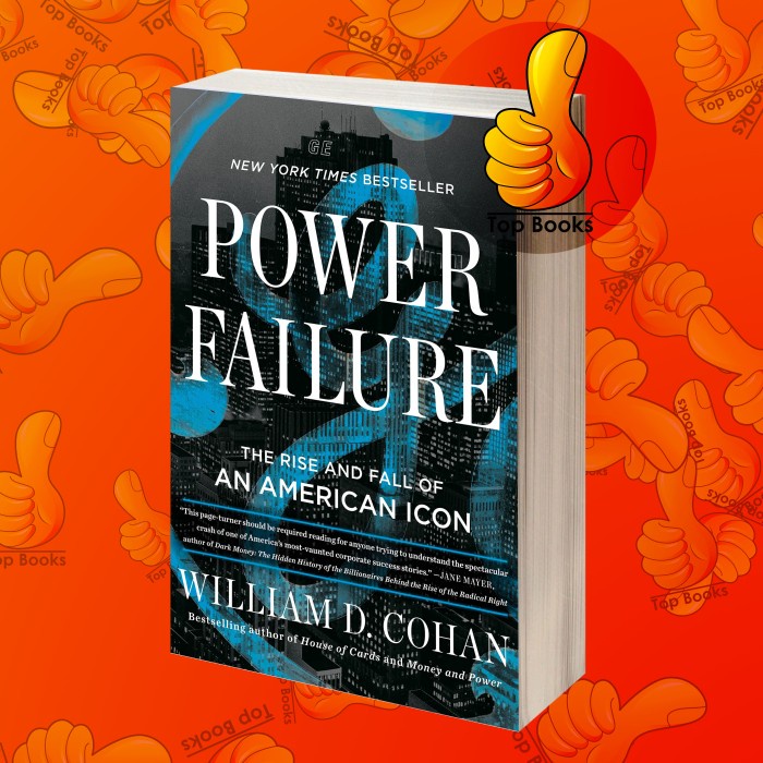 Jual Power Failure: The Rise and Fall of an American Icon William D ...