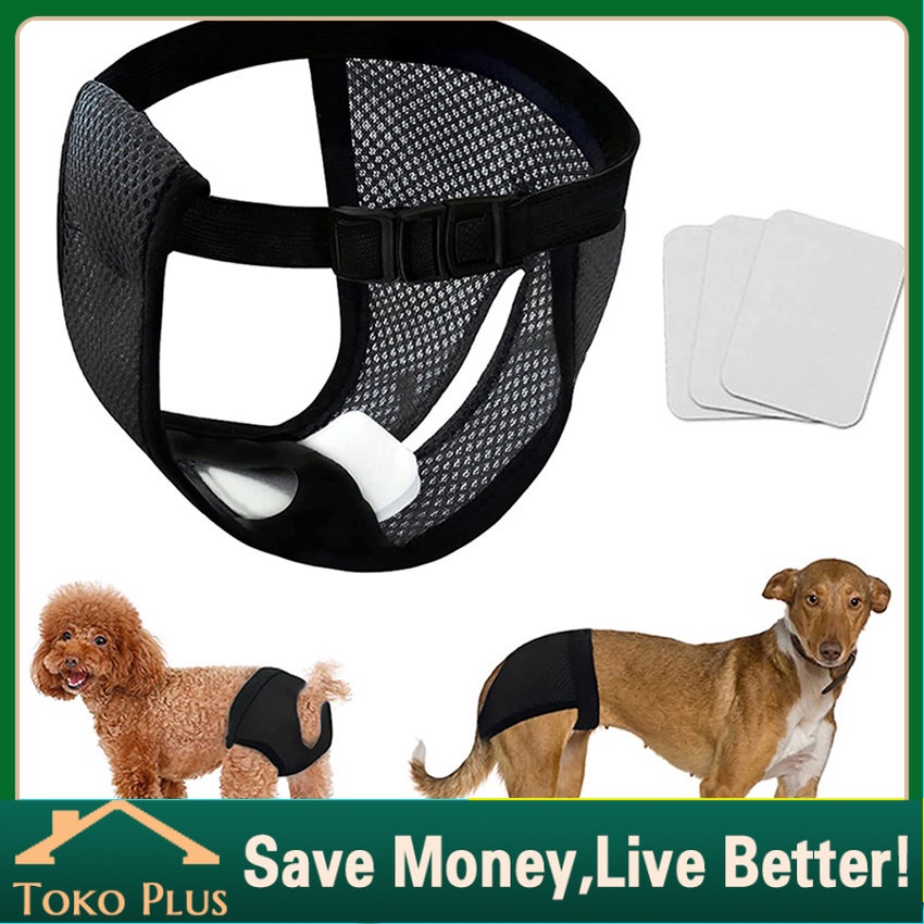 Jual Celana Popok Anjing Betina Anti Kawin Bisa Dicuci Bahan Mesh ...