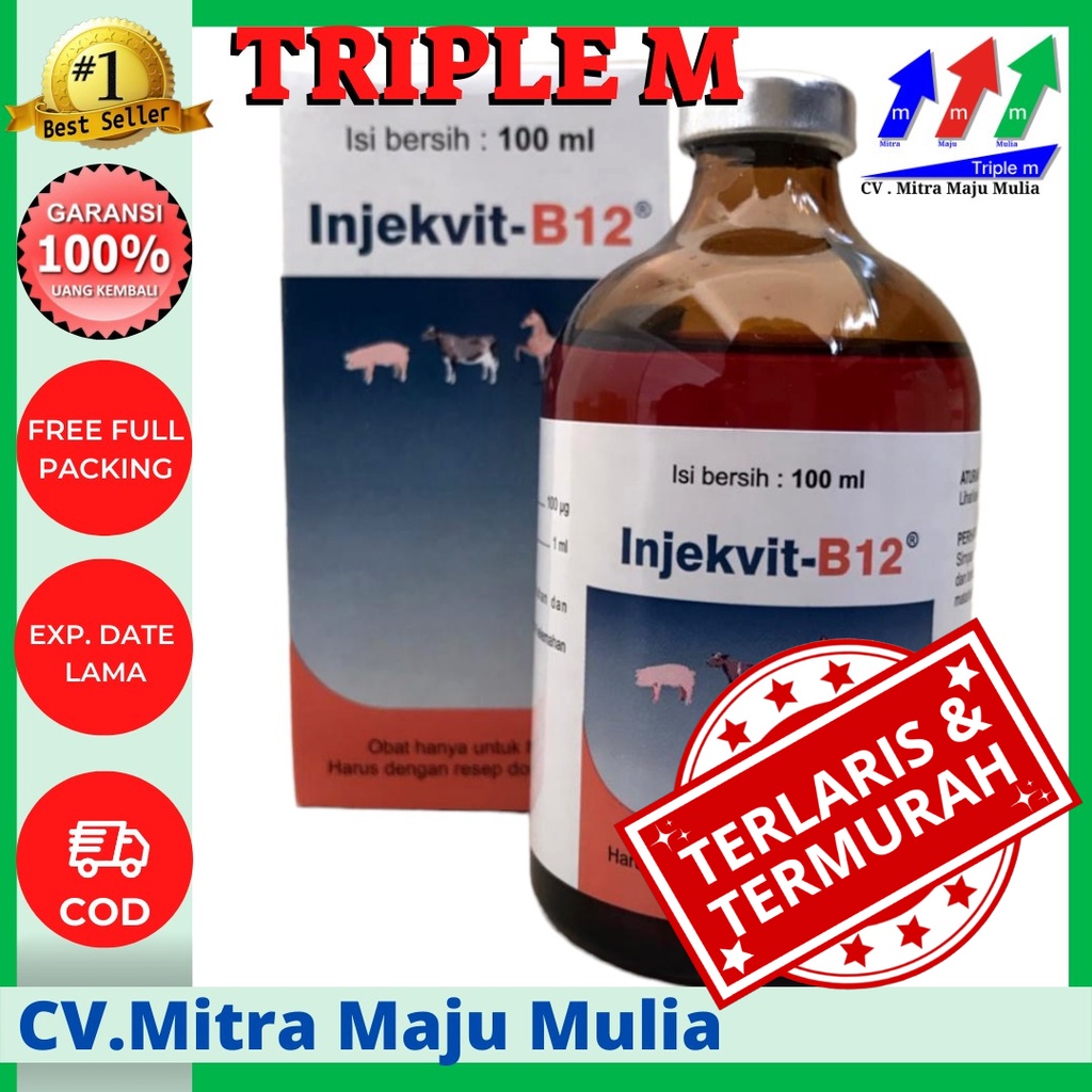 Jual INJEKVIT B12 100 ml MEDION Obat B12 Untuk Perbaiki Kondisi Tubuh ...