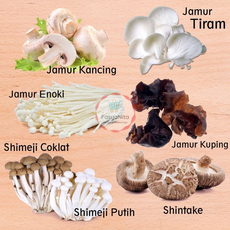 Jual 1pack Jamur kuping basah Kering Kancing Champignon Shimeji Putih ...