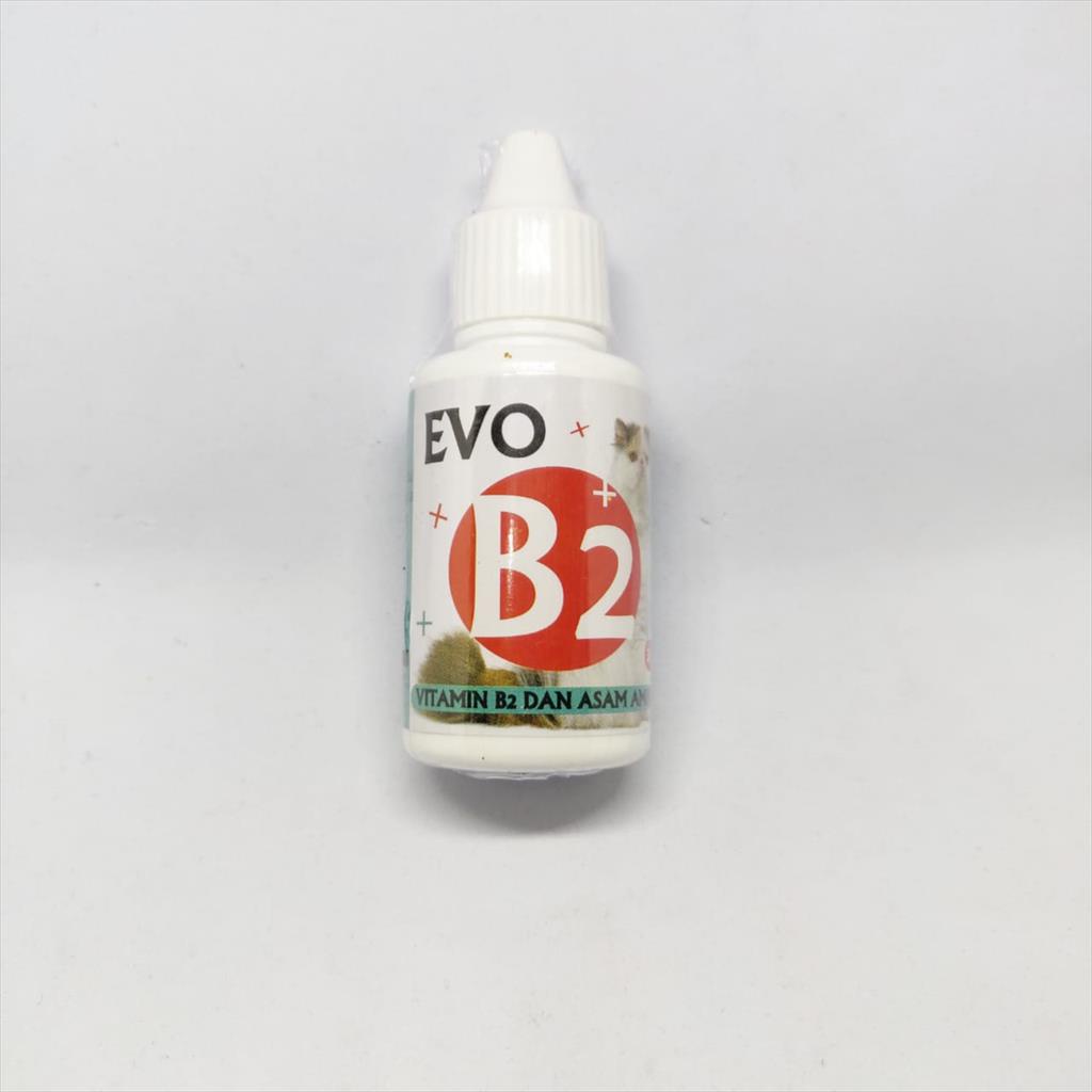 Jual EVO B2 VITAMIN B2 DAN ASAM AMINO CAT 30ML | Shopee Indonesia