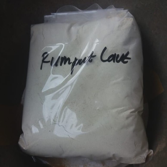 Jual tepung rumput laut 500 gr ASLI 100% | Shopee Indonesia