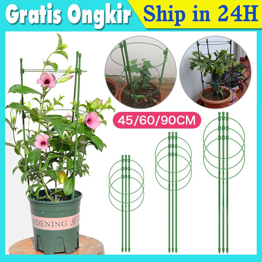 Jual Climbing Vine Rack - Plant Support Cage - 90cm Tiang Penyangga ...