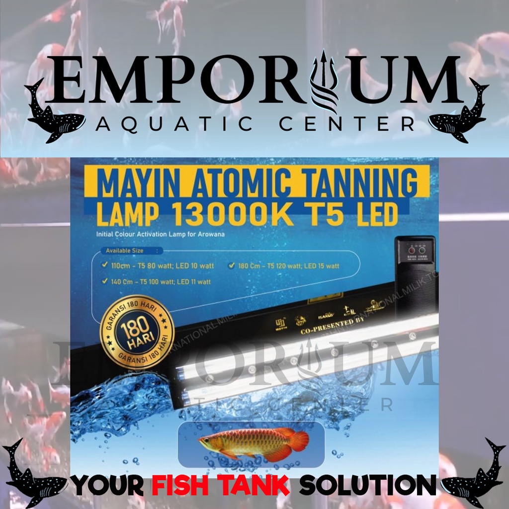 Jual MAYIN ATOMIC LAMPU TANNING 13000K - 110 CM T5 LAMPU AKUARIUM ...