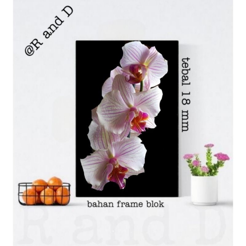 Jual Hiasan Dinding Gambar Bunga Anggrek Ukuran 47x31 Dekorasi Rumah ...