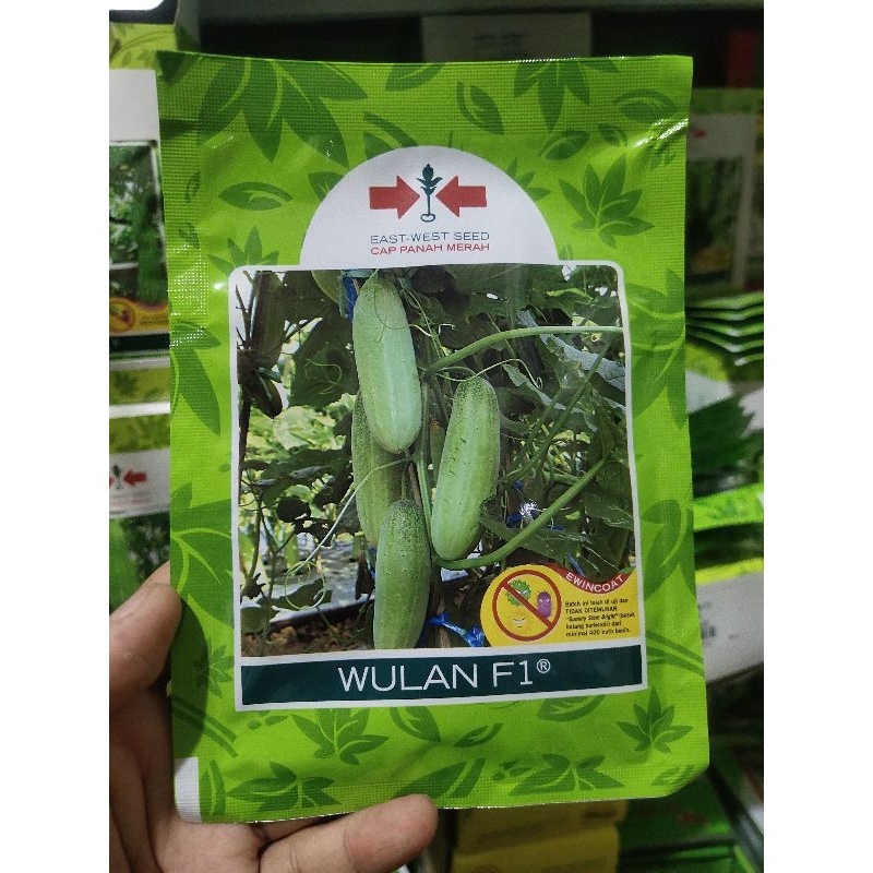 Jual ( 700 butir ) Benih timun WULAN F1 700butir ketimun hibrida dari ...