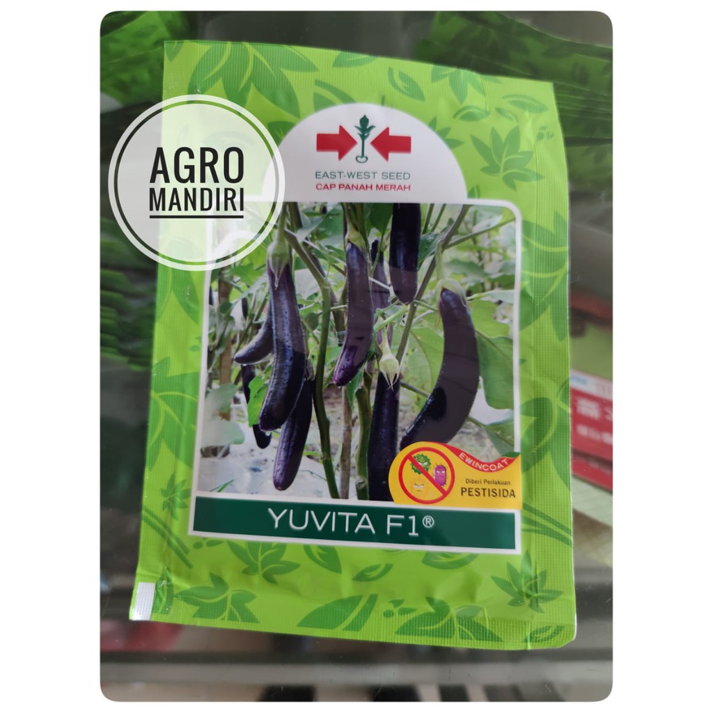 Jual Benih Bibit Terong Ungu Yuvita F1 5 gram Tahan Virus Cap Panah Merah | Shopee Indonesia