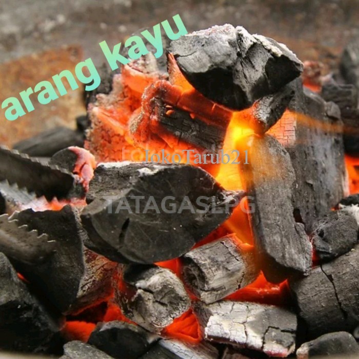 Jual Arang kayu 1 karung murah | Shopee Indonesia