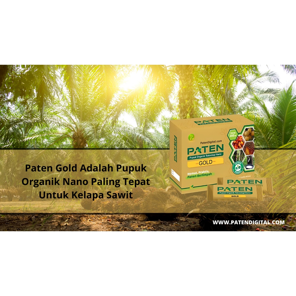 Jual Pupuk Paten Gold Khusus Tanaman Sawit Cepat Berbuah dan Besar ...