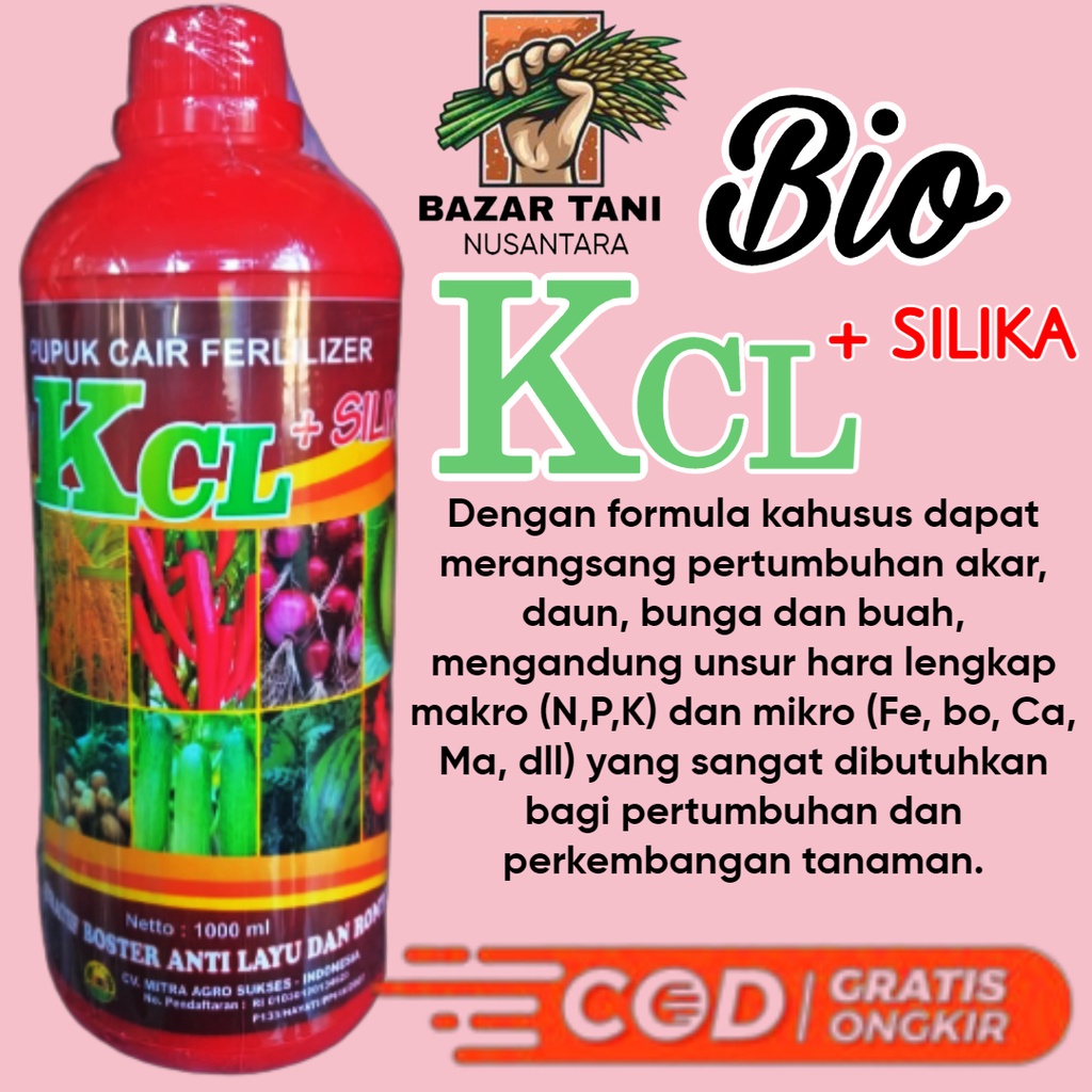 Jual PUPUK SEMPROT KOCOR BIO KCL PLUS SILIKA 1 LITER | Shopee Indonesia