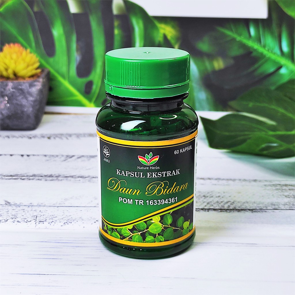 Jual Ekstrak daun bidara 60 kapsul Marwaa.store | Shopee Indonesia
