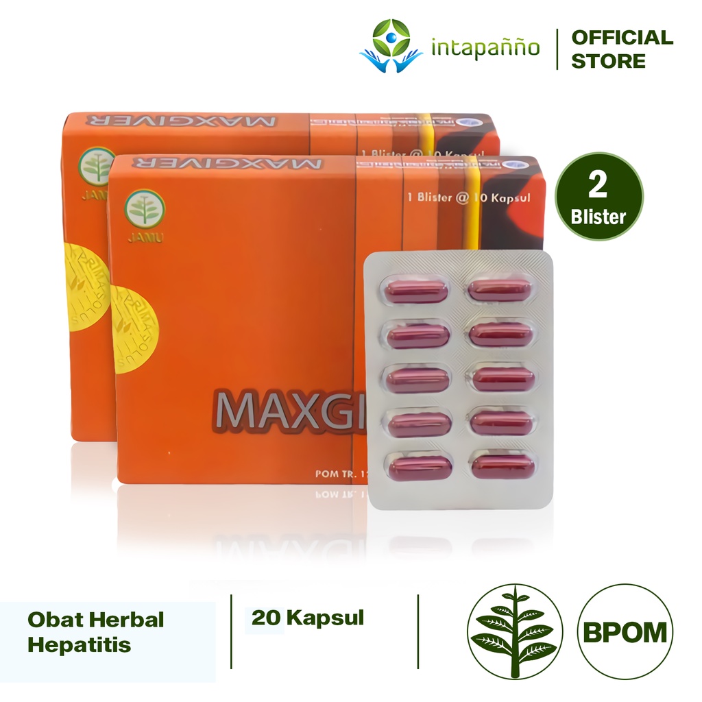 Jual INTAPANNO COMBO 2 Maxgiver Obat Herbal Hepatitis / Detox 20 Kapsul ...