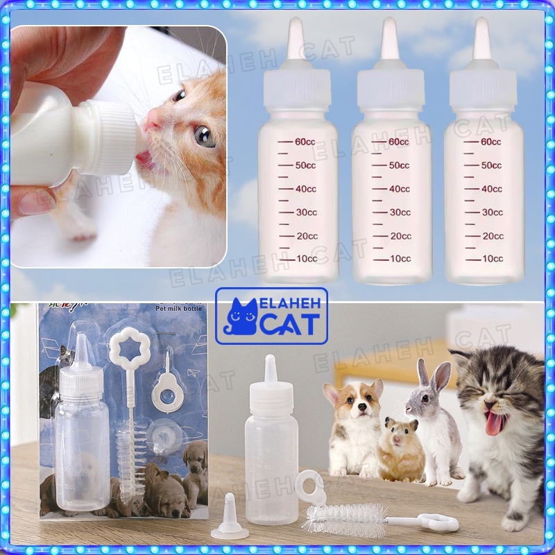 Jual 1 Set Dot Anak Kucing 1 Bulan Botol Kucing Kitten Dan Anjing ...