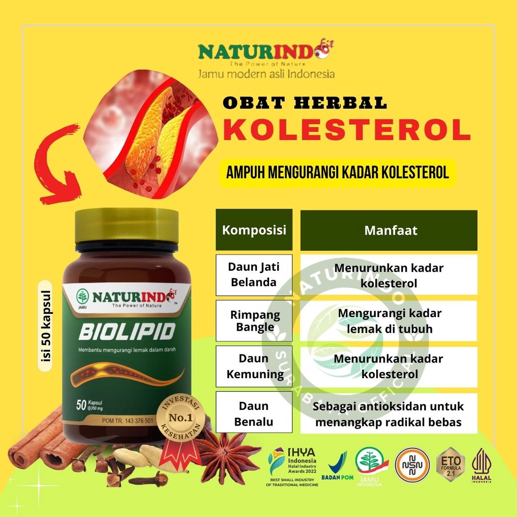 Jual Naturindo Biolipid Obat Kolesterol Lemak Darah Tinggi ...