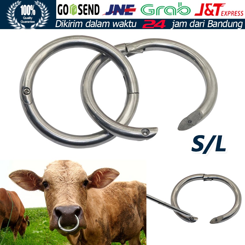 Jual S/L Cincin Ring Hidung Sapi Lembu Kerbau Nose Ring Stainless Steel ...