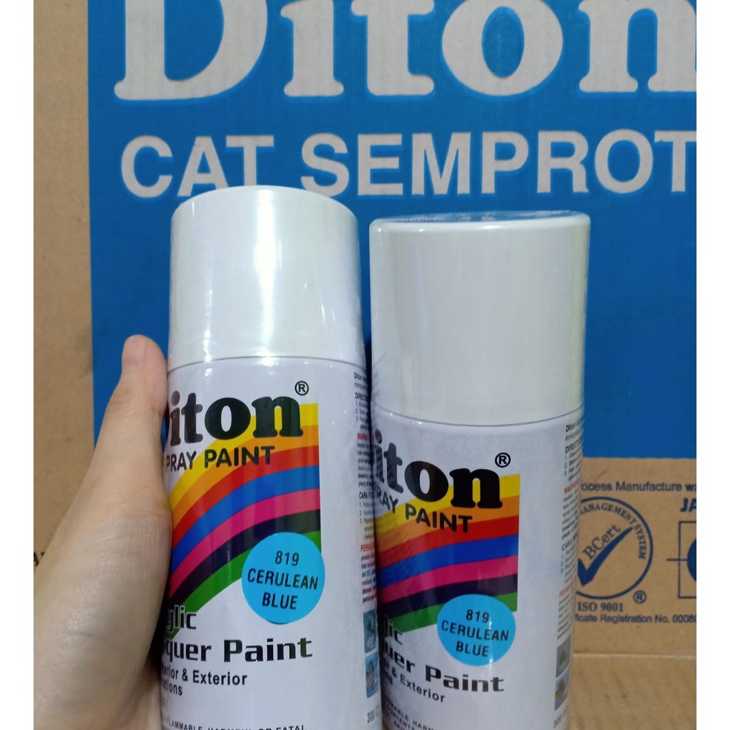Jual SOLID COLOURS DITON Spray Paint Acrylic Lacquer Paint Pilox Pilok ...