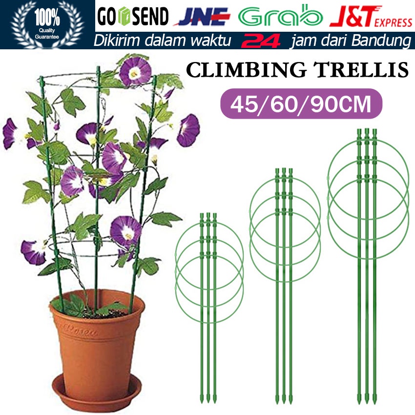 Jual 45/60/90CM Penyangga Tanaman Rambat Plant Climber / Plant Holder ...