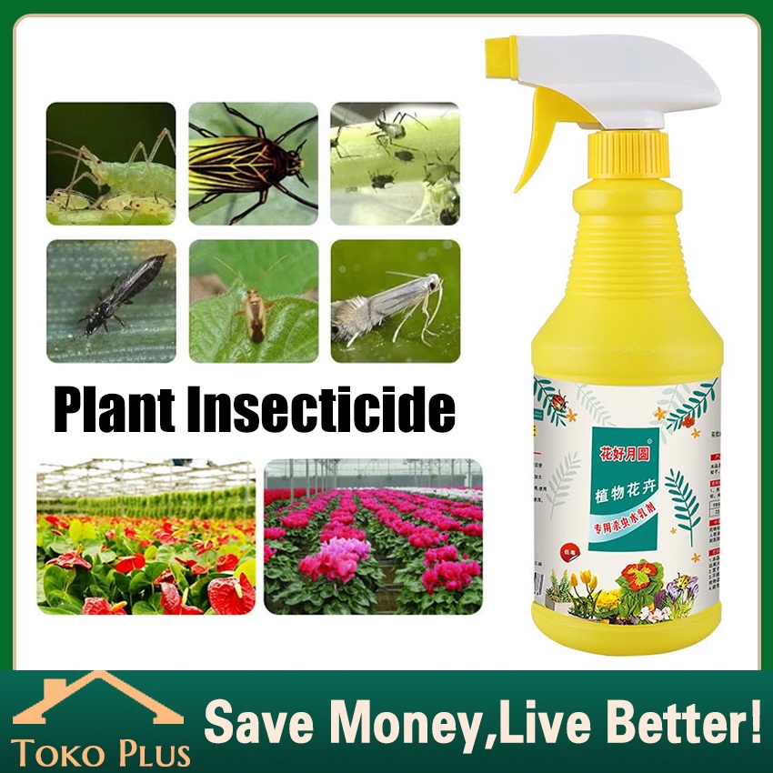 Jual Workplant Plant Cure Anti Rayap, Kumbang dan Serangga - Pestisida ...