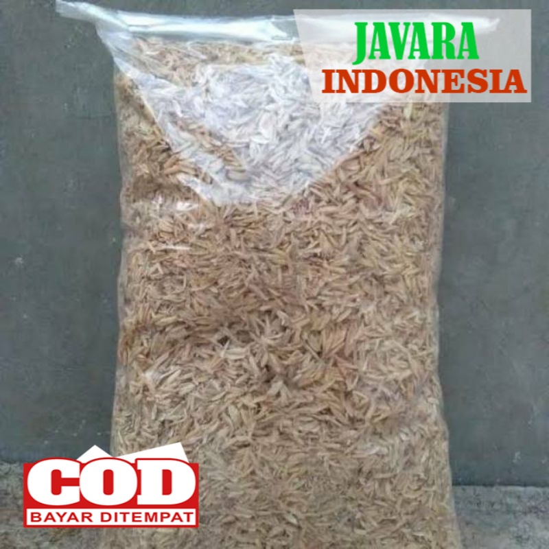 Jual sekam merang padi kulit padi murni media tanaman hias sayuran dan ...
