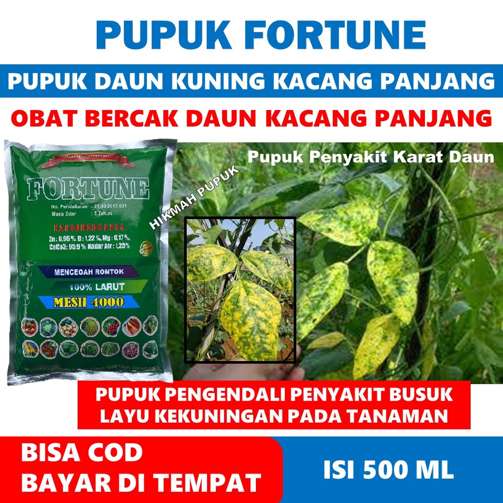 Jual TERLARIS FORTUNE isi 1KG OBAT BERCAK DAUN KACANG PANJANG, TIMUN ...