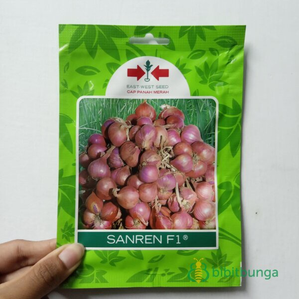 Jual Bibit Bawang Merah Hibrida Sanren F1 800 Biji Benih Cap Panah ...