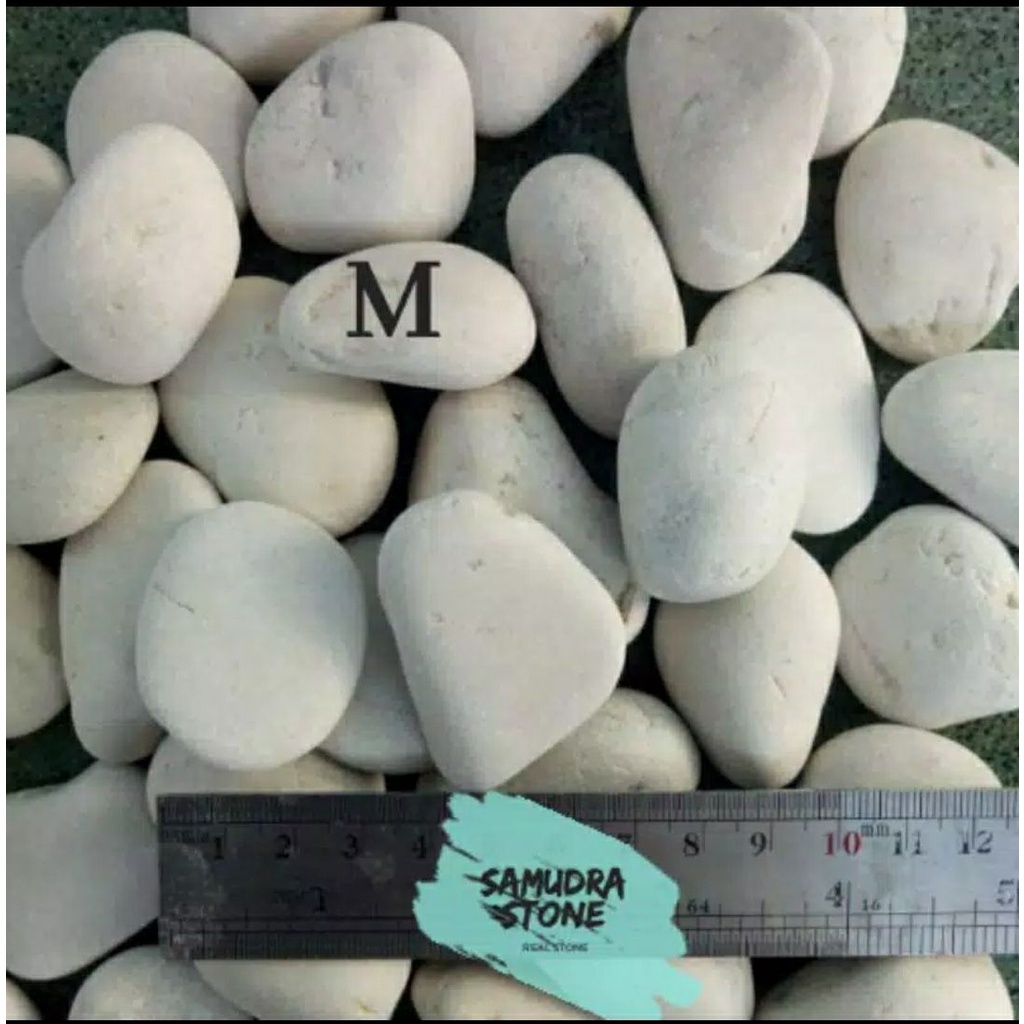 Jual batu koral putih kupang / 1 karung batu hias putih untuk taman 8 ...