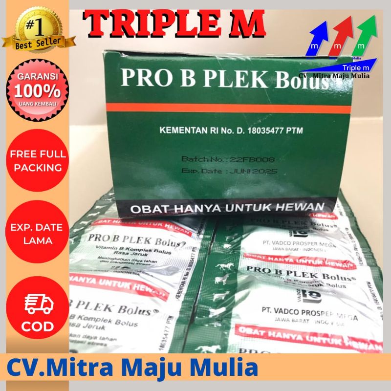 Jual PRO B PLEK Bolus / Vitamin B komplek | Shopee Indonesia