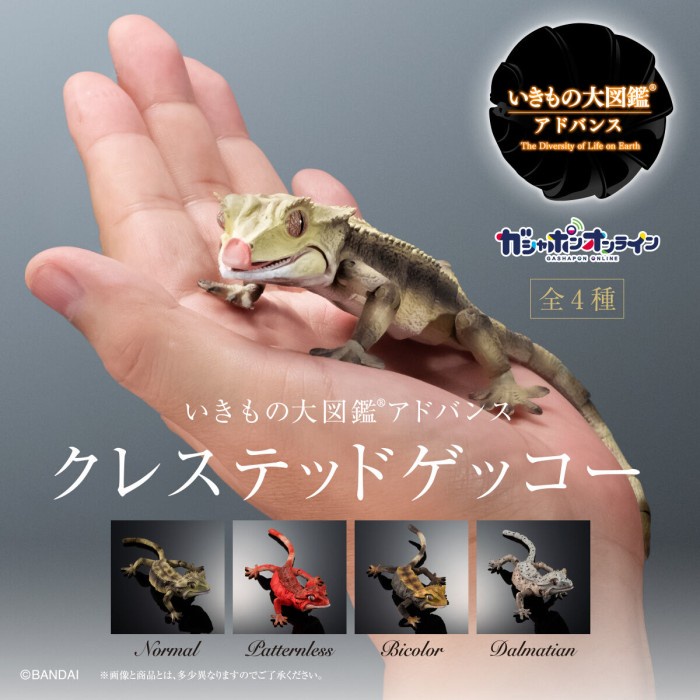 Jual Ikimono Advance Crested Gecko Lizard P-Bandai Gacha Gashapon ...
