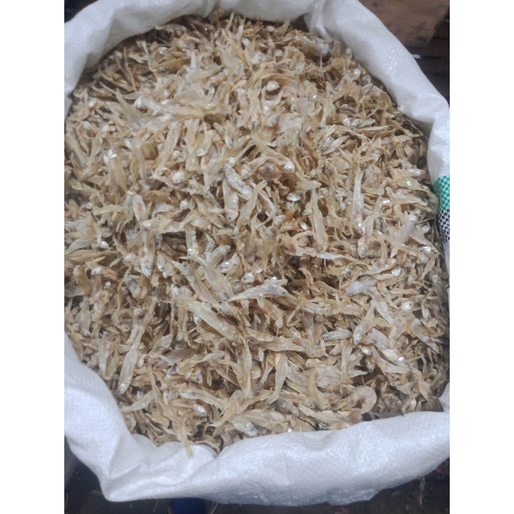 Jual Nikmati Kelezatan Tradisional: Ikan Teri Bunga/Teri Ceples Tawar ...