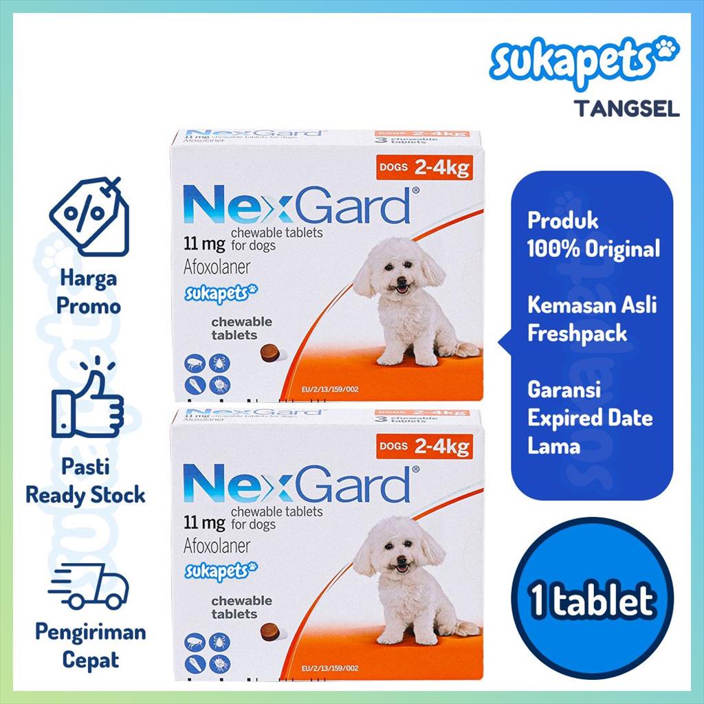 Jual Nexgard Obat Kutu Untuk Anjing Size S 2-4kg 1 Tablet | Shopee ...
