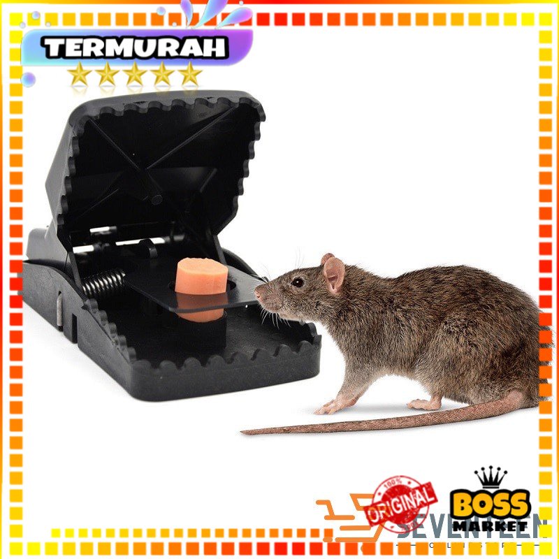 Jual PERANGKAP TIKUS PVC/JEBAKAN TIKUS/MOUSE TRAP DOUBLE SPRING ...