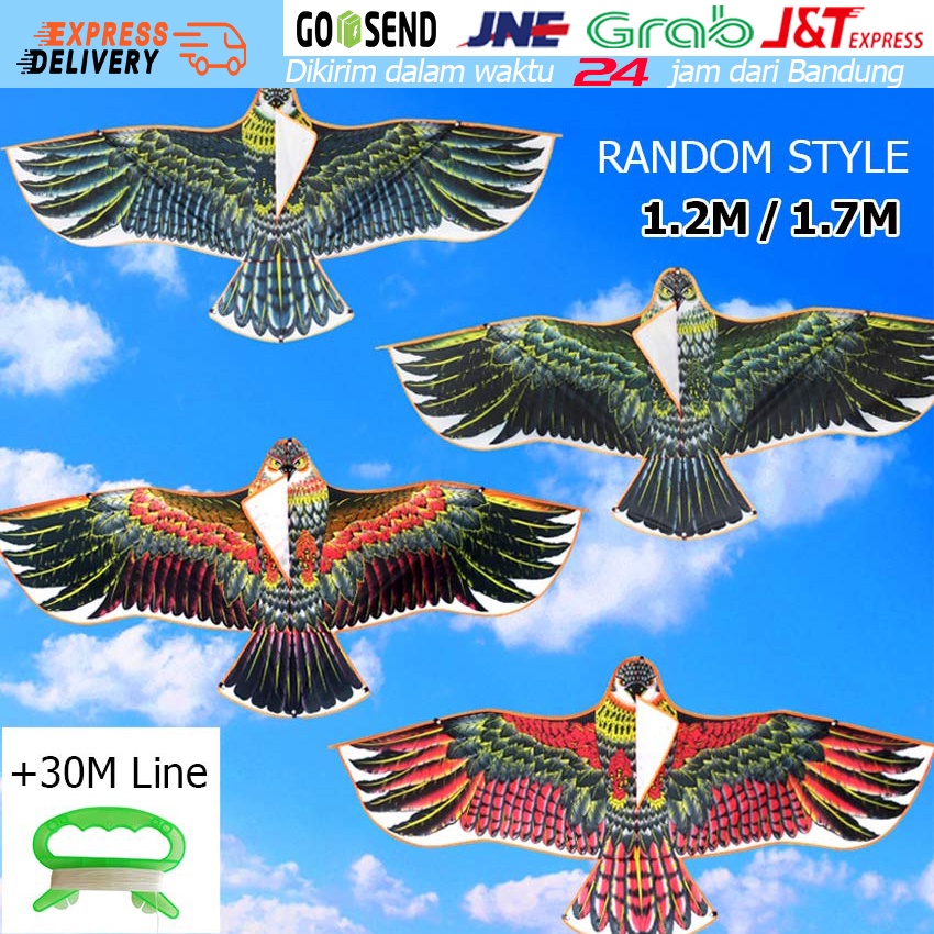 Jual Layang-Layang Bentuk Burung Elang Ukuran 1.2M/1.7M Warna Untuk ...