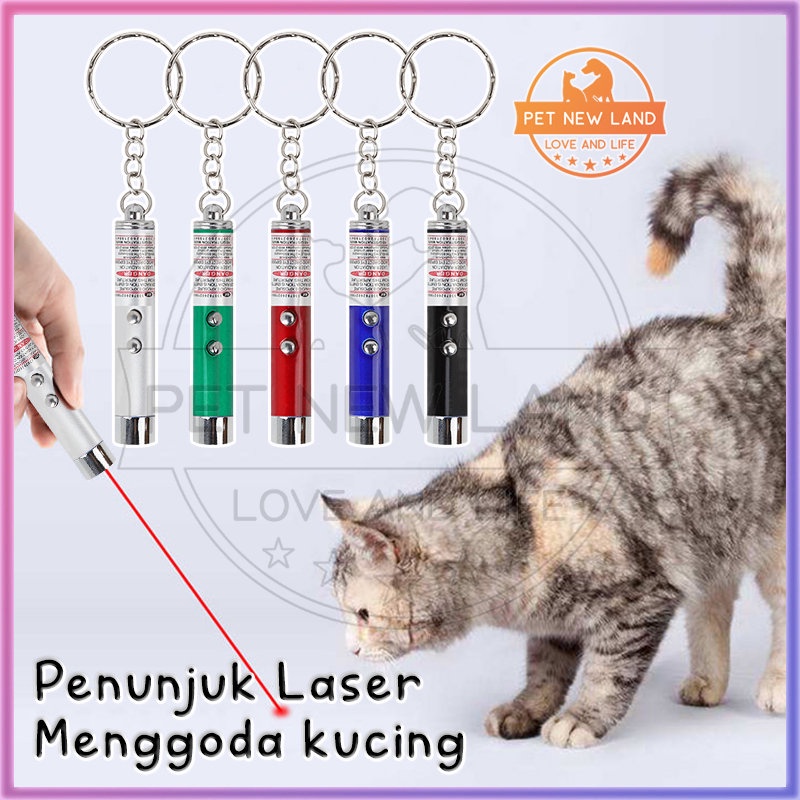 Jual Mainan Kucing Laser Pointer Kucing Anjing Gantungan Kunci Cat Toys ...