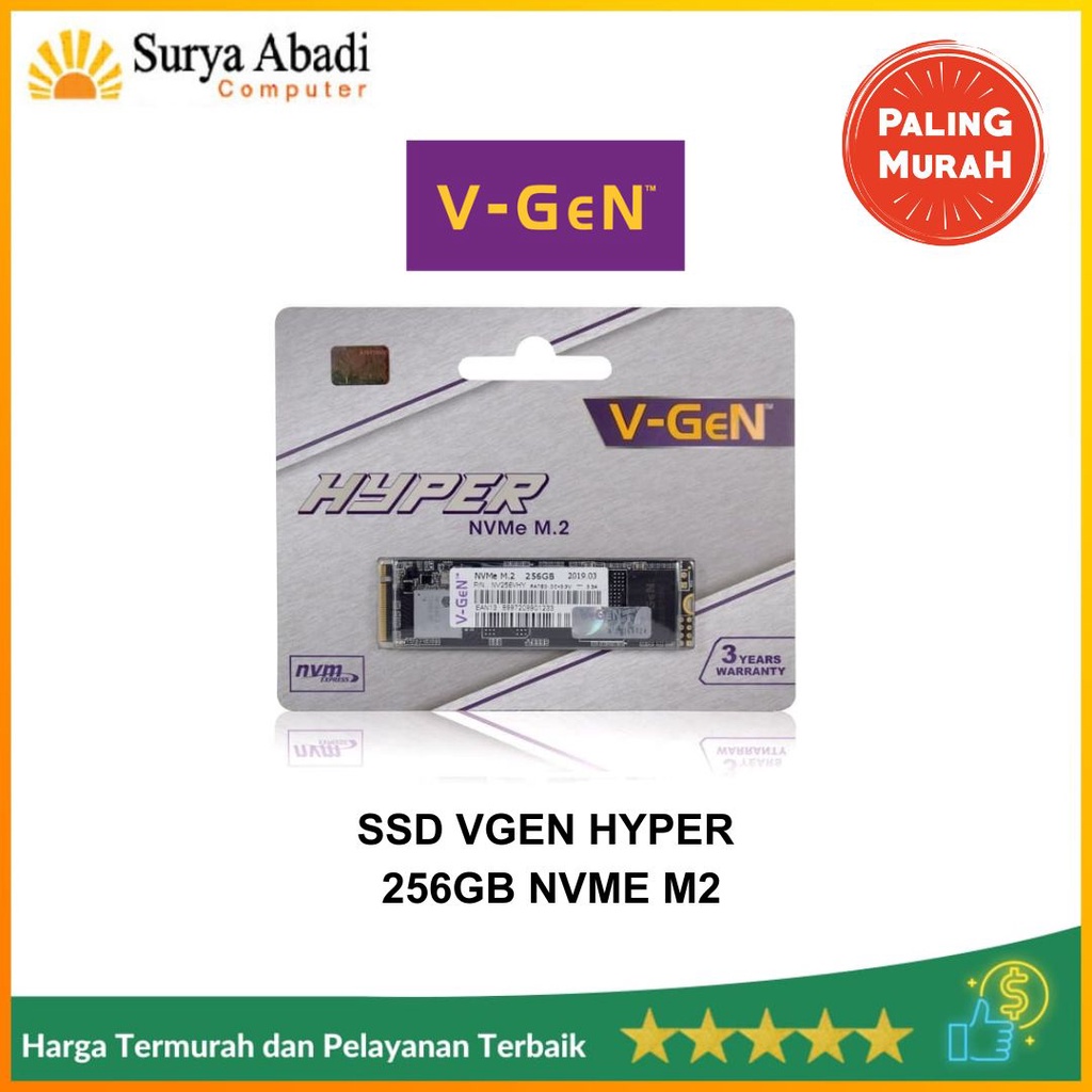Jual V-GEN SSD 256 GB M.2 NVMe HYPER VGEN SSD 256GB M2 NVME HYPER ...