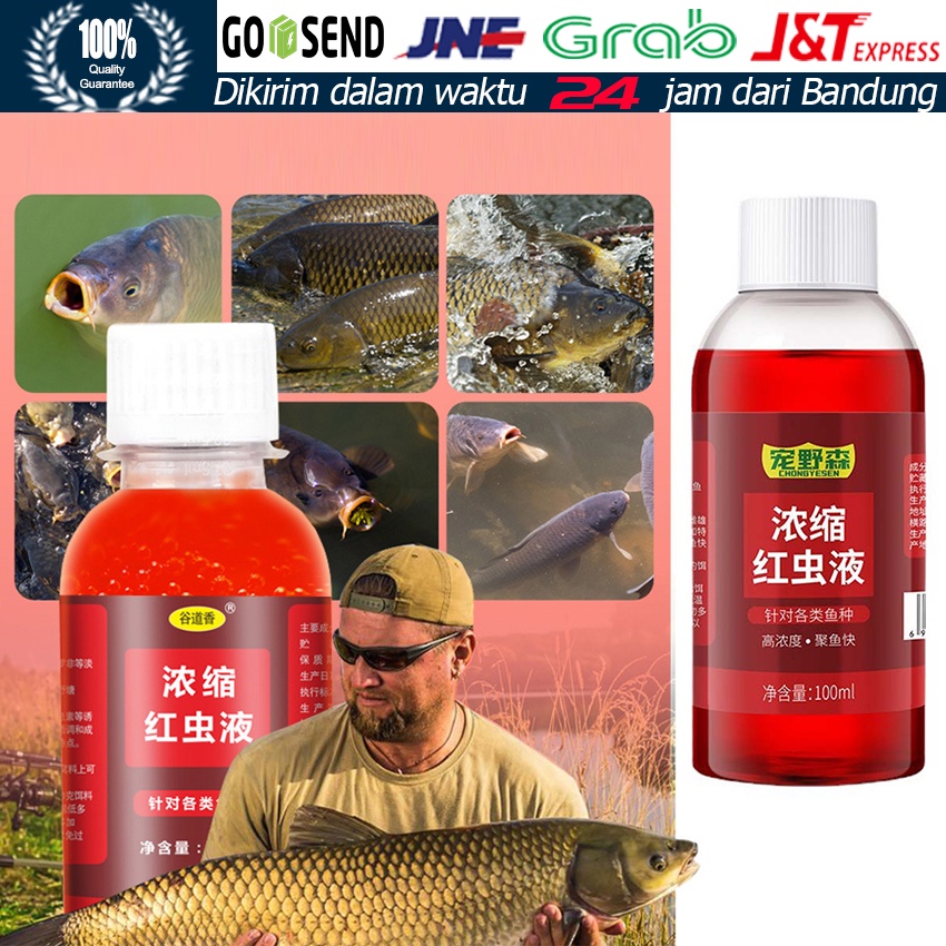 Jual 100ML Red Worm Liquid / Essen Merah Ikan Patin Umpan Pancing ...