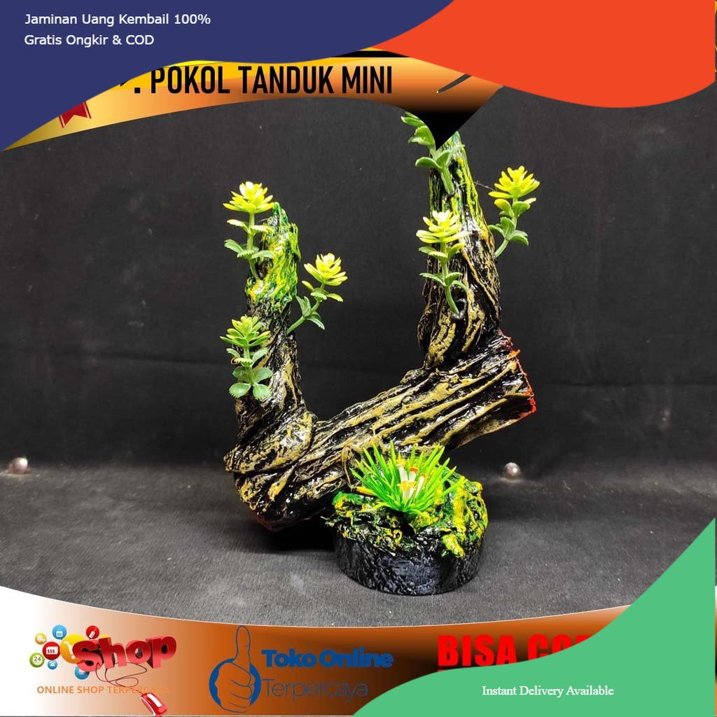 Jual Dekorasi aquarium kayu pongkol, dekorasi aquarium tanaman dan kayu ...