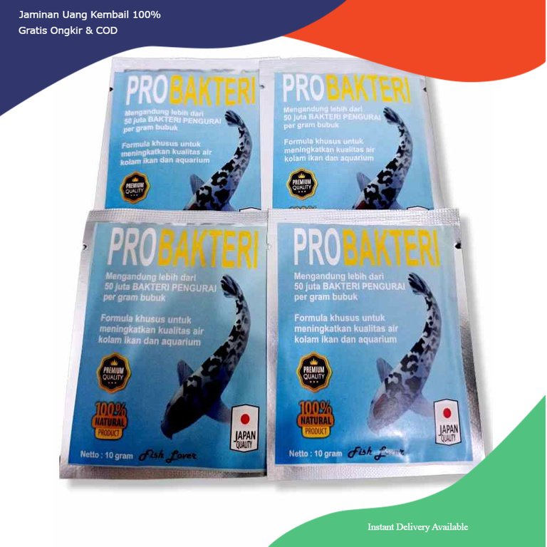 Jual Obat ikan pro bakteri, obat ikan fish lover pro bakteri, obat ikan ...
