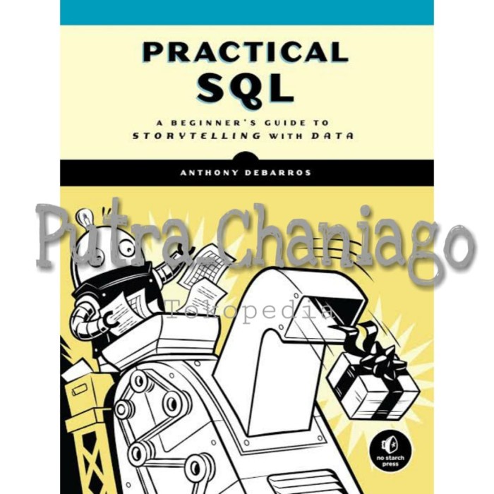 Jual Buku Practical SQL A Beginner's Guide to Storytelling with Data ...