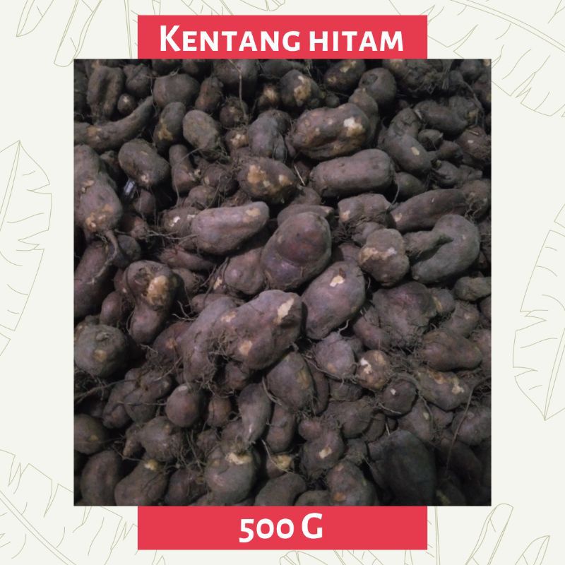 Jual kentang Hitam 500gram | Shopee Indonesia