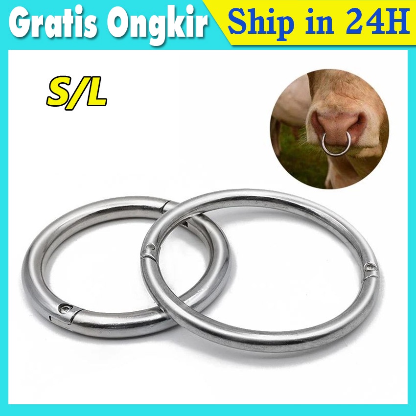 Jual Cincin Hidung Sapi - Stainless Steel Cincin Hidung Banteng Untuk ...