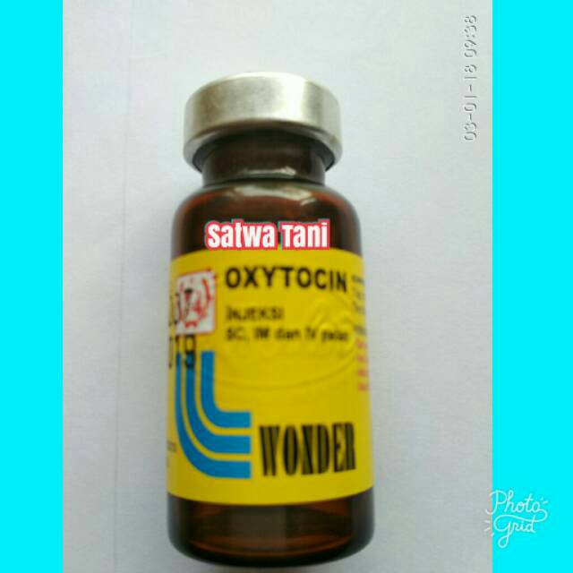 Jual JUAL OXYTOCIN INJEKSI WONDER 10 ML OBAT SAPI KAMBING KUDA BABI ...