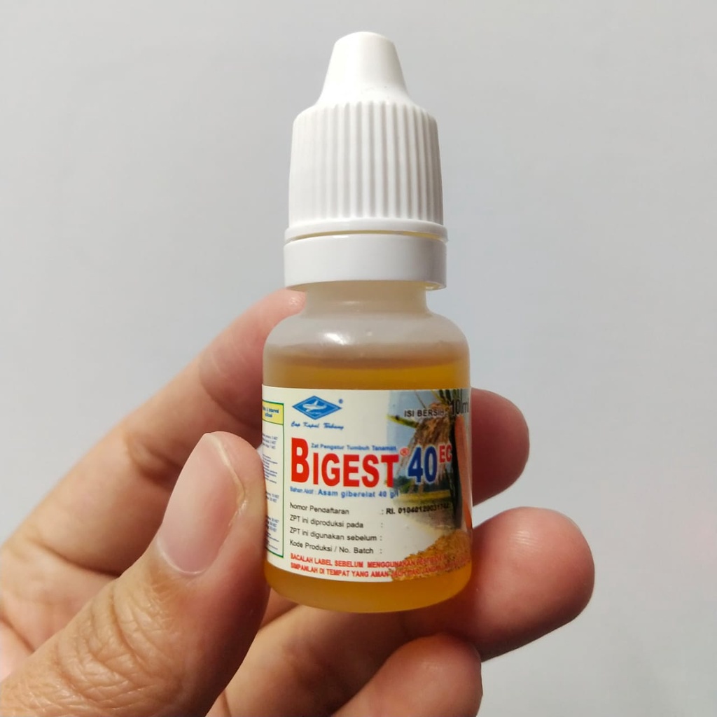 Jual Zat Pengatur Tumbuh Tanaman Cabe Tomat Padi Buah BIGEST 40EC 10ml ...