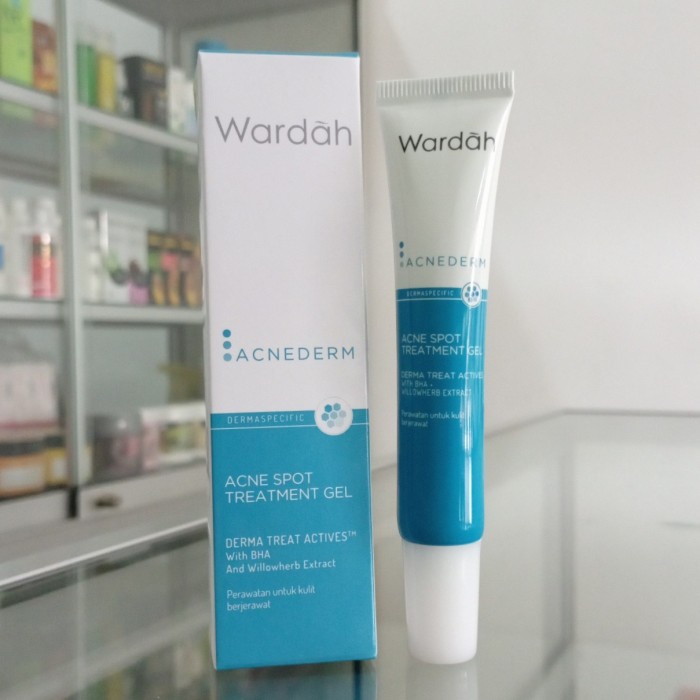 Jual wardah acnederm spot gel 15 ml | Shopee Indonesia