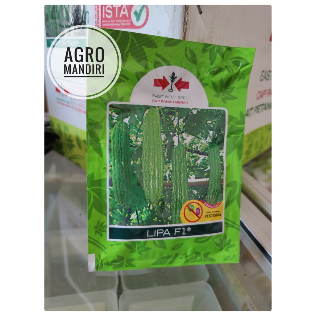 Jual Bibit Benih Pare / Paria Lipa 50 Butir Cap Panah Merah | Shopee ...