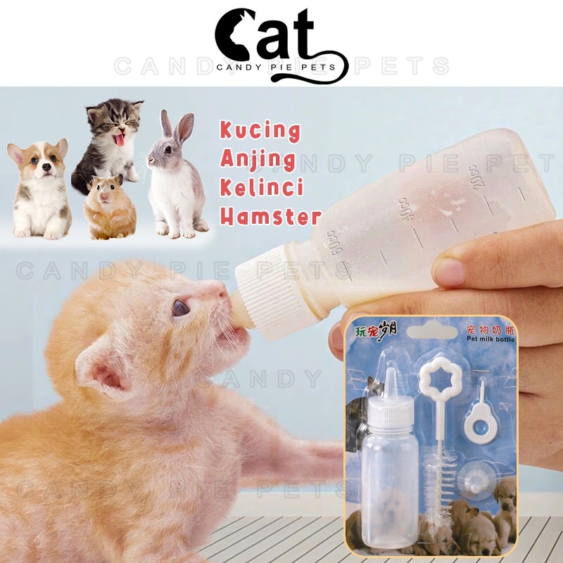 Jual 1 Set Botol Kucing Dot Botol Dot Kucing + Sikat | Shopee Indonesia